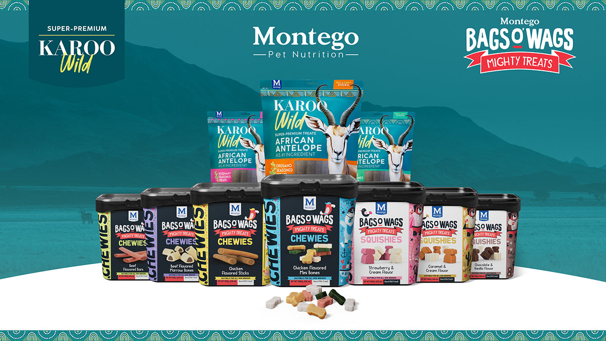 Montego Launches Unique Dog Treats in USA – Montego Pet Nutrition